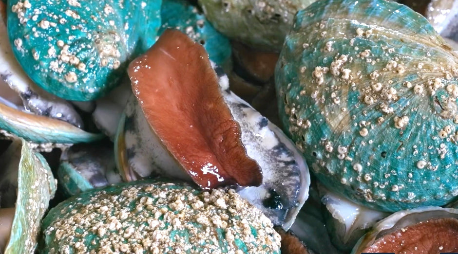 Ocean Road Abalone - Australian Abalone Products Online